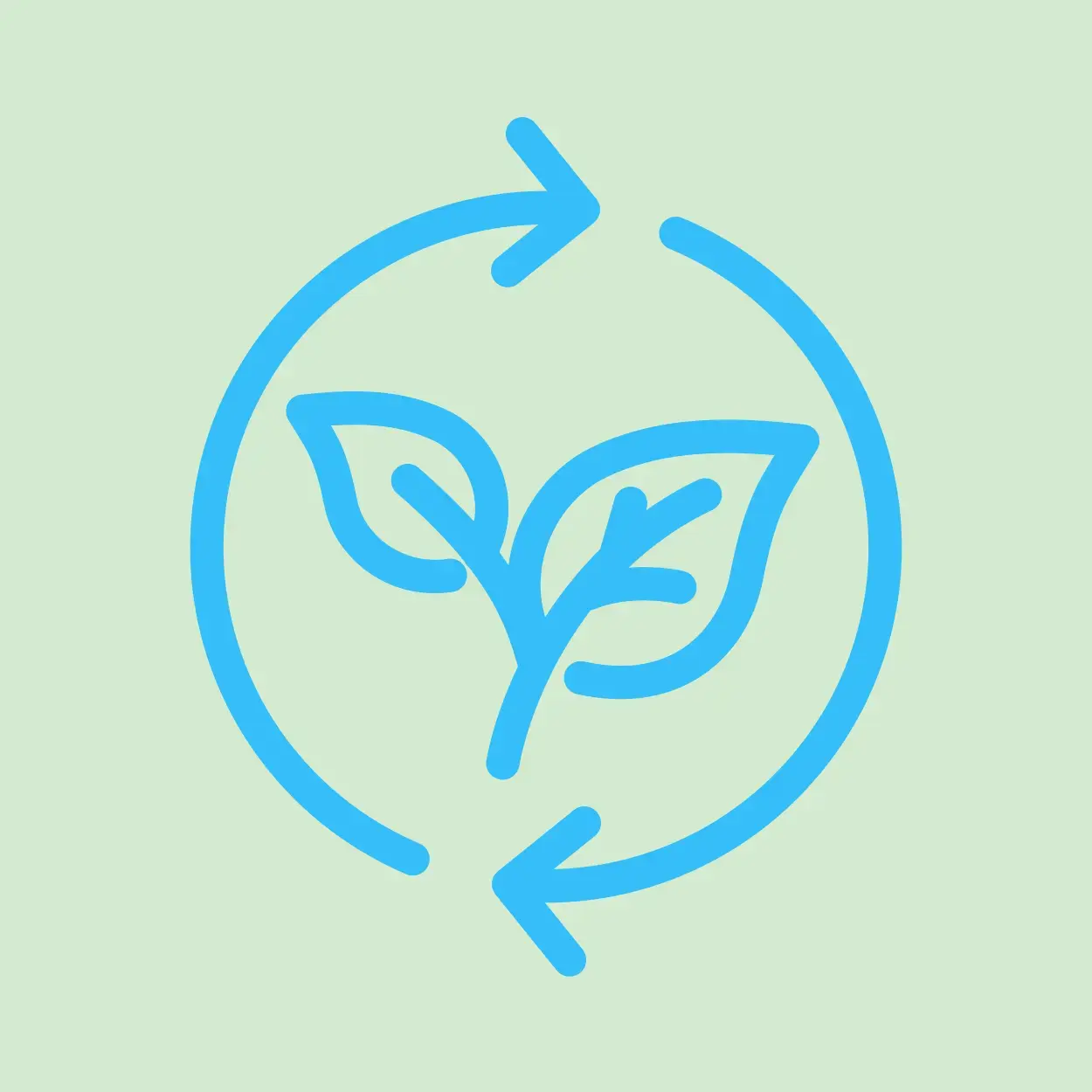 LTI Transformations | Exterior House Transformations